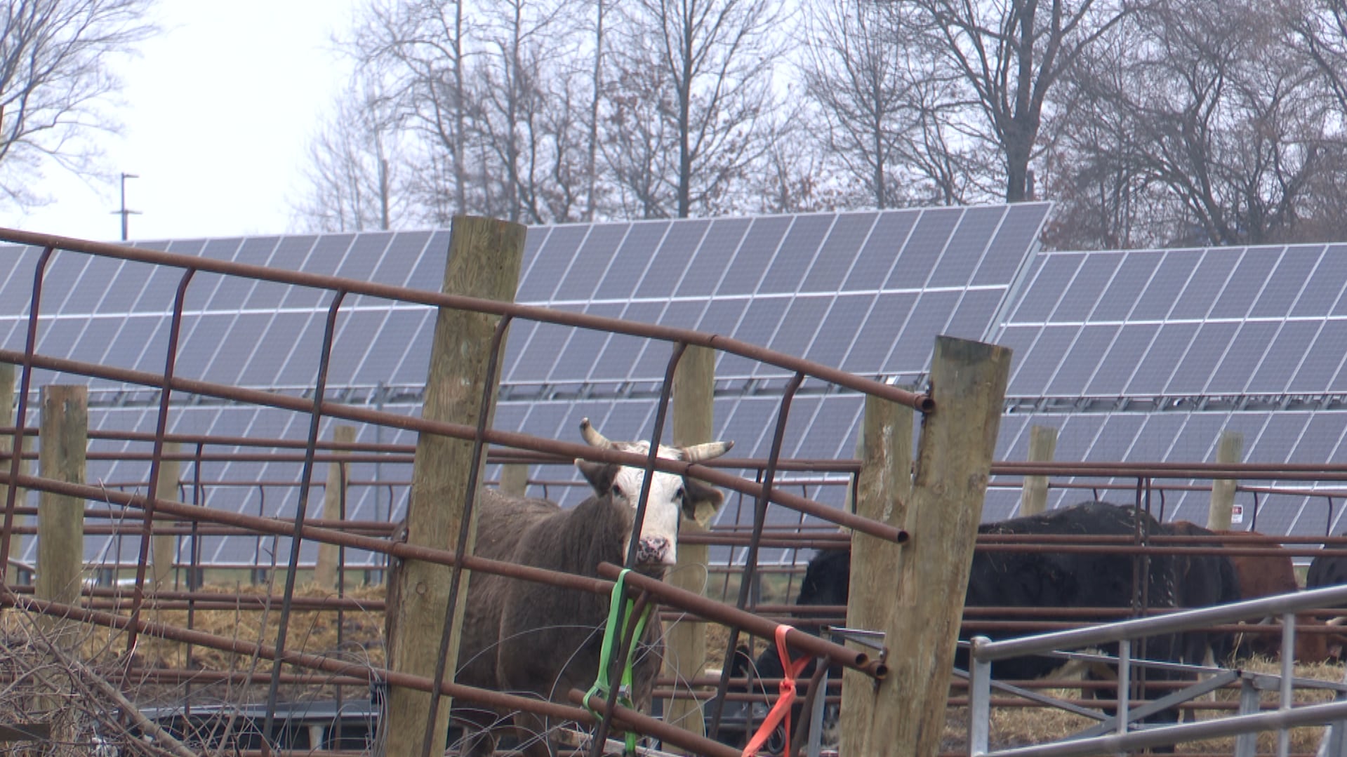 Hillsdale Co. solar farm proposal faces opposition