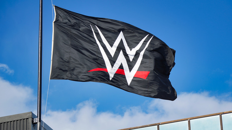 Strongman competitor, basketball player reportedly set for WWE tryout ...