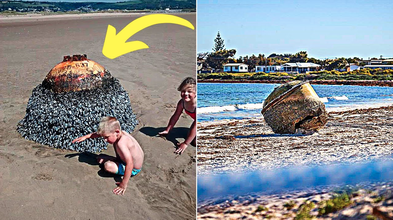 Family uncovers the surprising truth behind a mysterious find