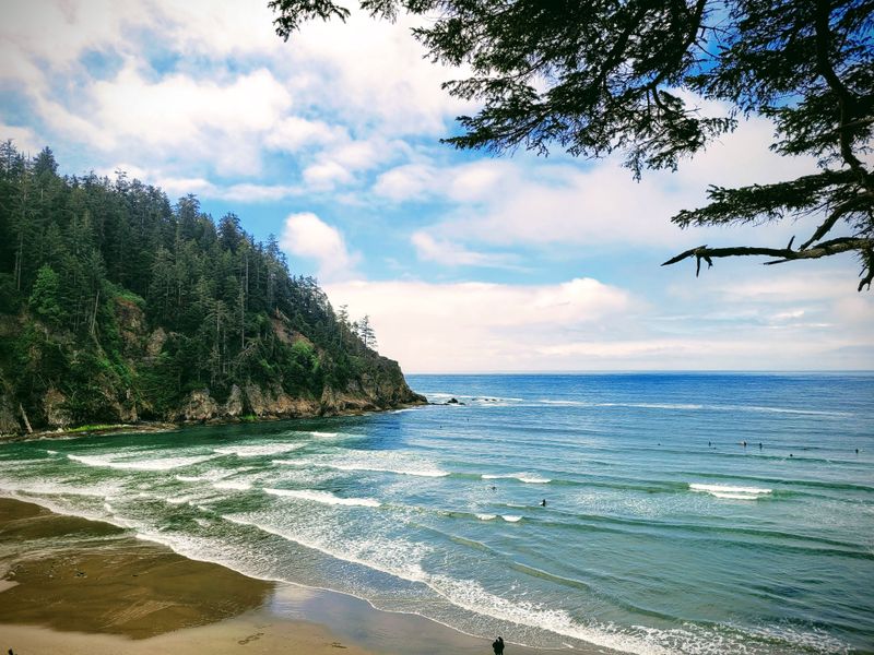 7 Oregon hiking areas popular with travelers seeking coastal and forest ...