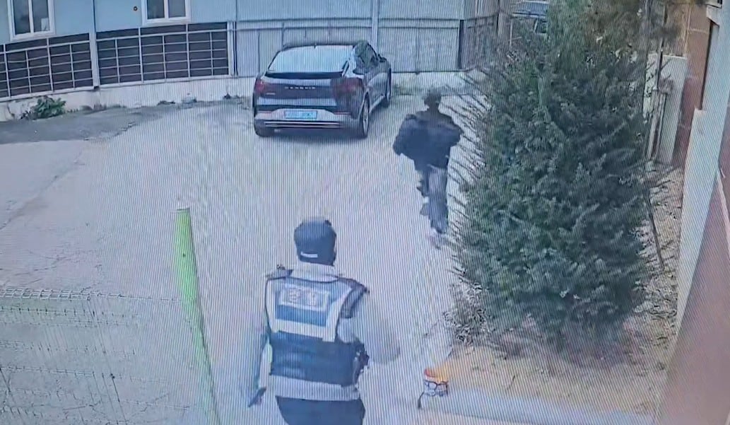 Illegal overstayer arrested after fleeing police stop