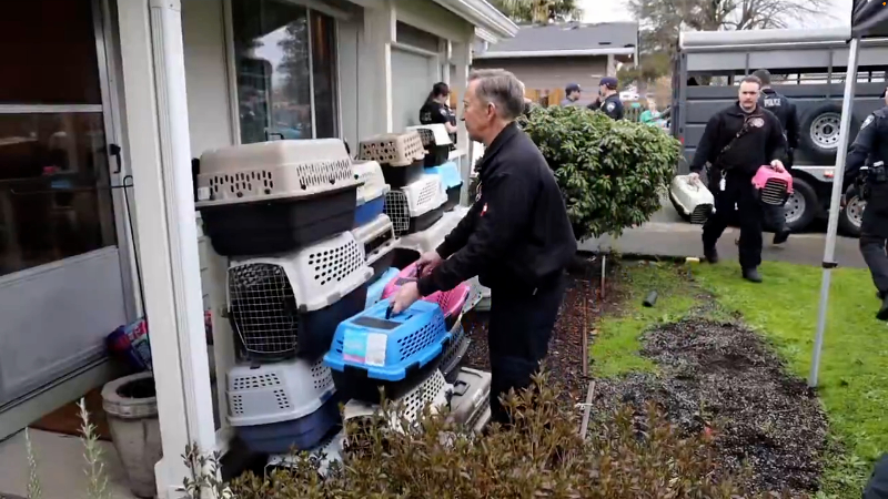 Buckley Police investigates large-scale animal cruelty case