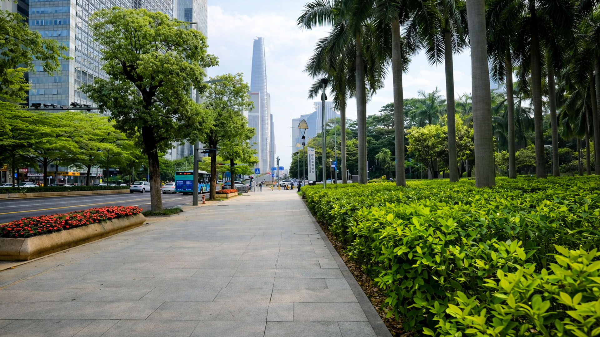 The sidewalks in Shenzhen China look like a park
