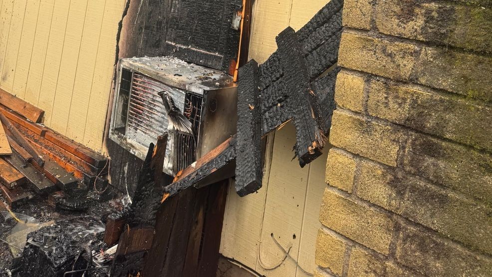 Eugene Springfield Fire tackles blaze on Brewer Avenue; two cats ...