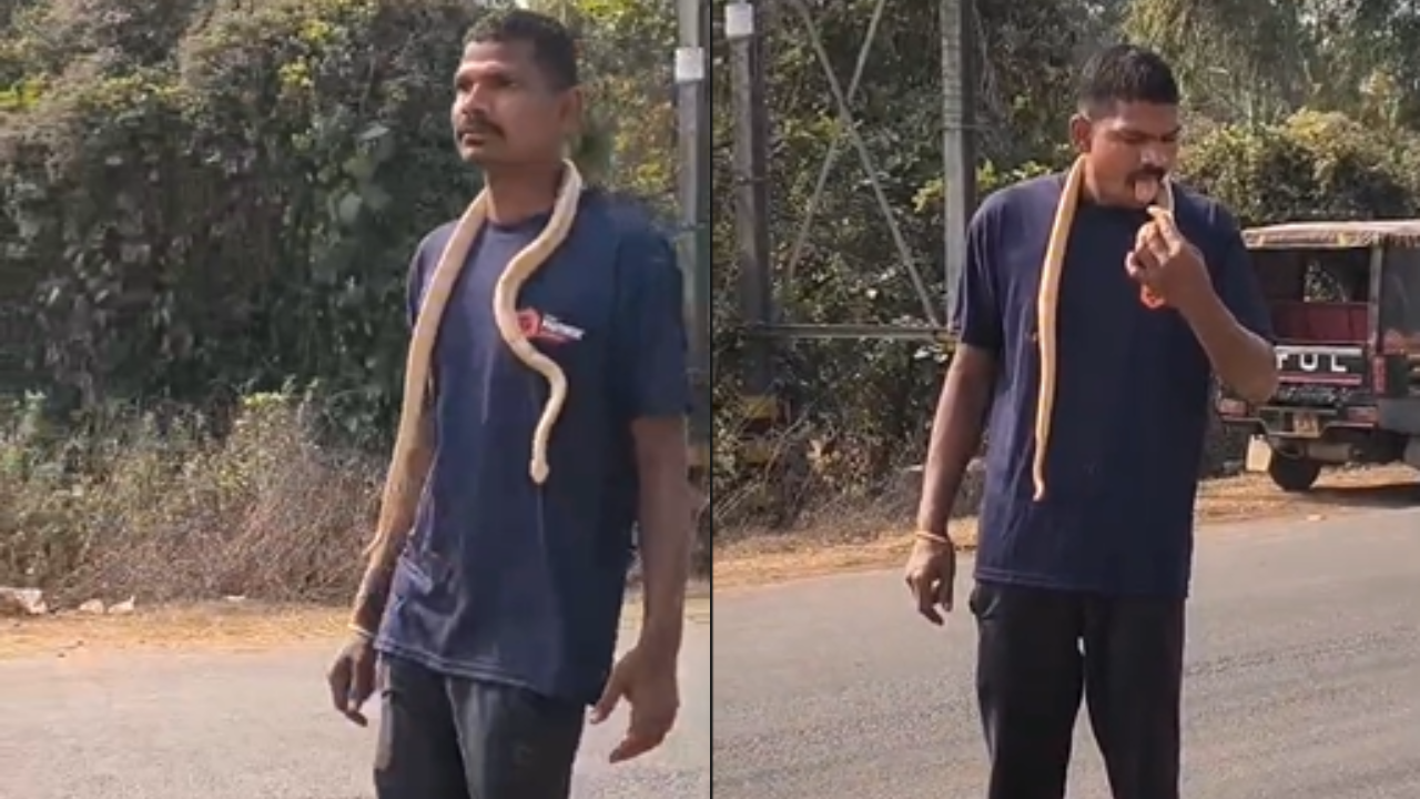 Odisha man flaunts highly venomous snake coiled around neck in public ...