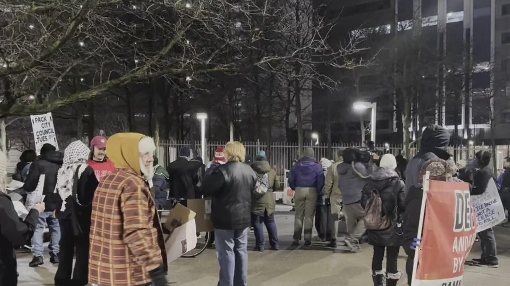 Protesters gather in Detroit after woman fatally shot by ICE officer in ...