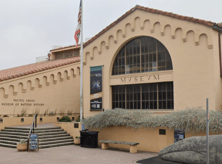 Pacific Grove Museum of Natural History unveils packed 2026 exhibit ...