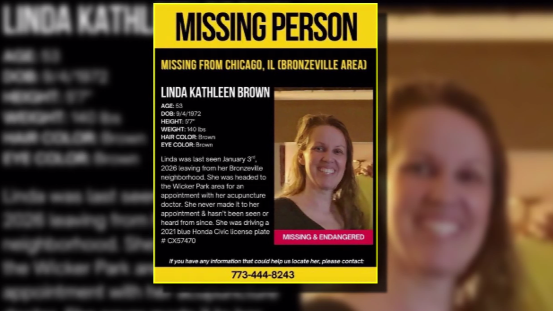 Missing Chicago Public Schools teacher Linda Brown's car found, husband ...
