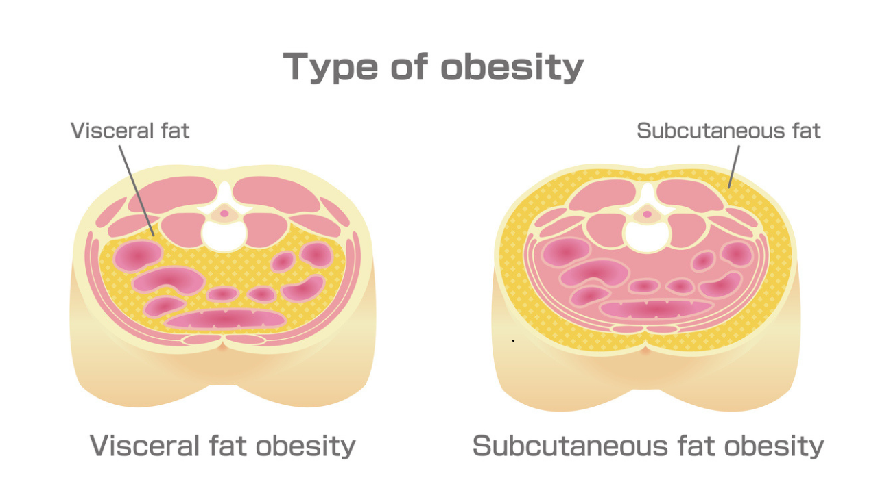 This health parameter may be more important than BMI or body fat ...