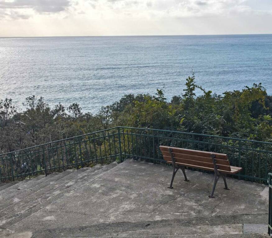 Camogli: via Romana, dal doppio senso ai tombini ostruiti
