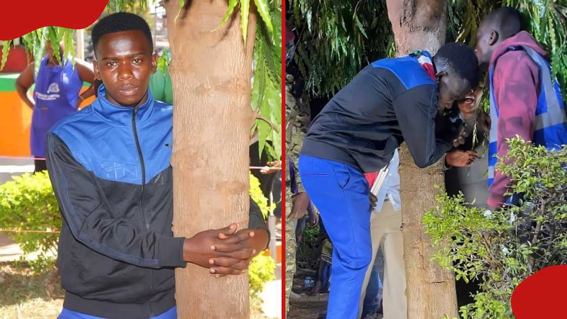 James Irungu: How Murang'a man valiantly hugged tree for 79 hours, but ...
