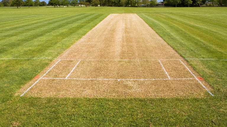 How long is a cricket pitch?