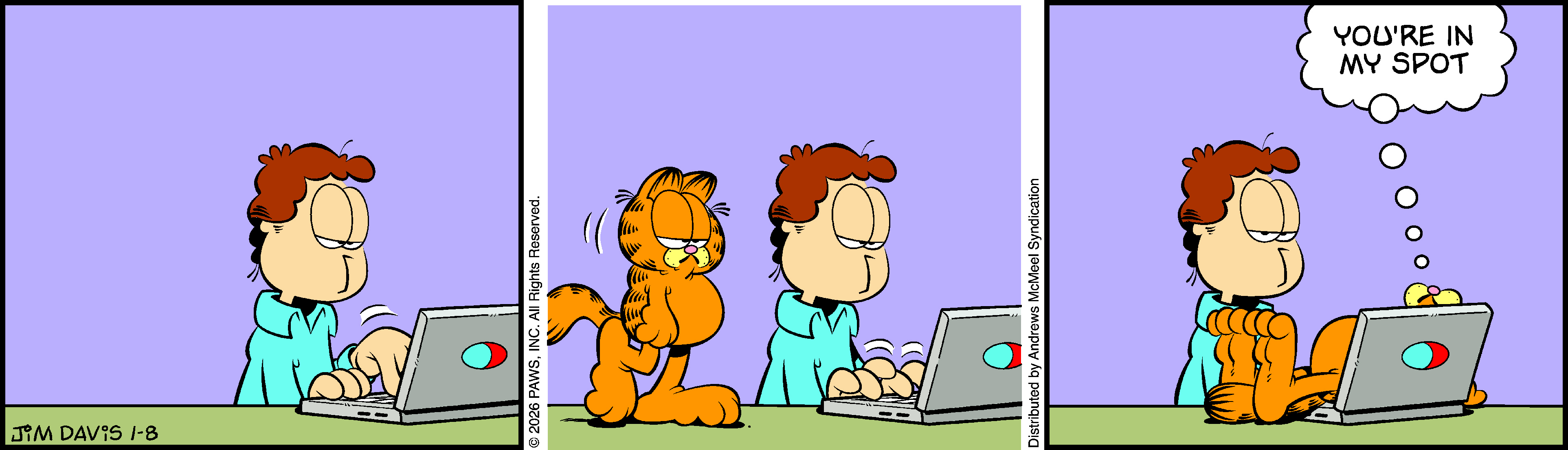 Garfield by Jim Davis