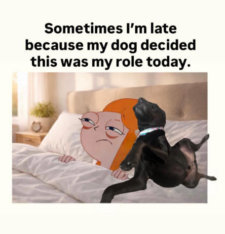 20 good morning barks of memes for doggo loving owners running on ...