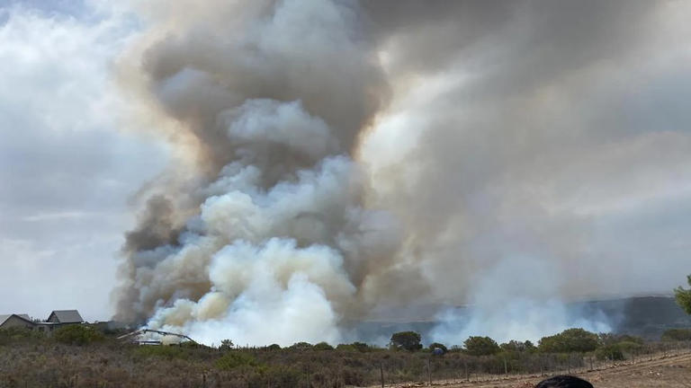 Wildfires challenge firefighting crews in Western Cape amid extreme heat