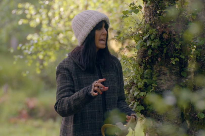 The Traitors fans uncover new contestant connection after obvious slip-up