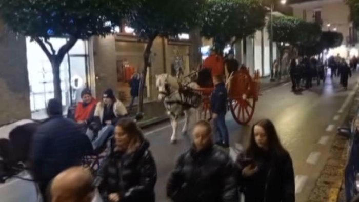 Cavallo muore durante la cavalcata dei Re Magi, protestano gli animalisti