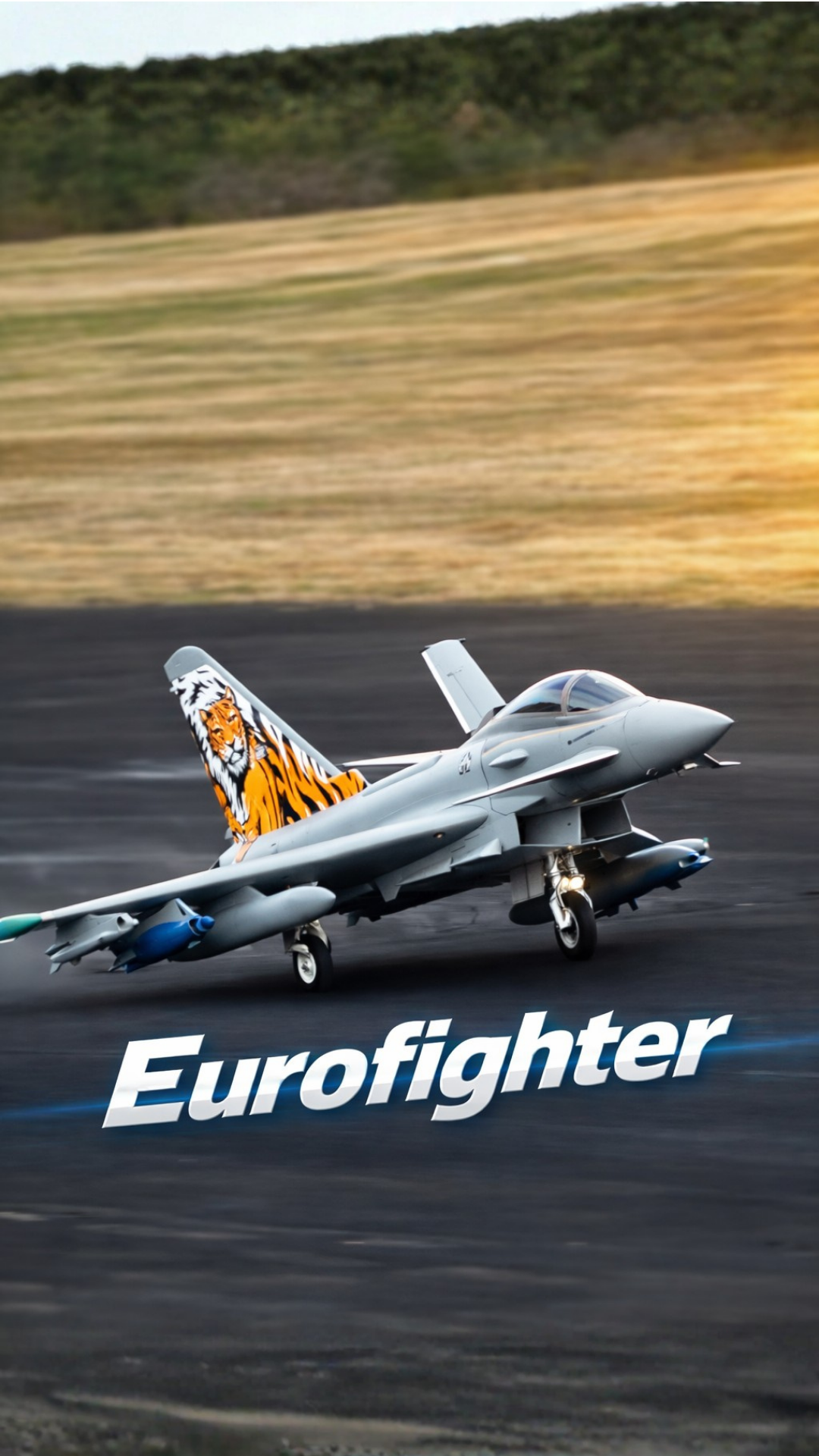 Eurofighter Typhoon smooth landing RC jet aviation action
