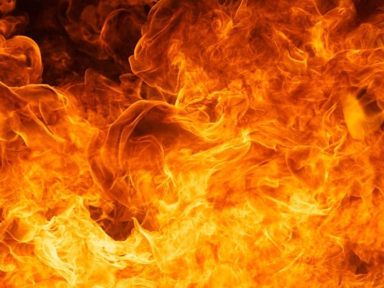 Mount Mount Diablo State Park Controlled Pile Burns To Begin