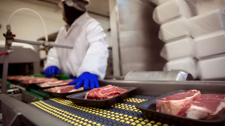 Massive E coli scare forces USDA to recall thousands of pounds of ...