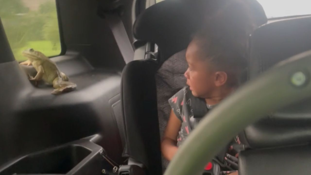 Family's fishing trip takes a hysterical turn as 'bait' frog provokes ...