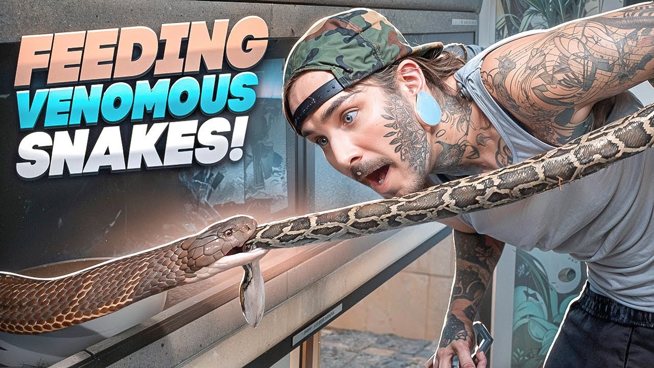 Why even experts approach this task with extreme caution