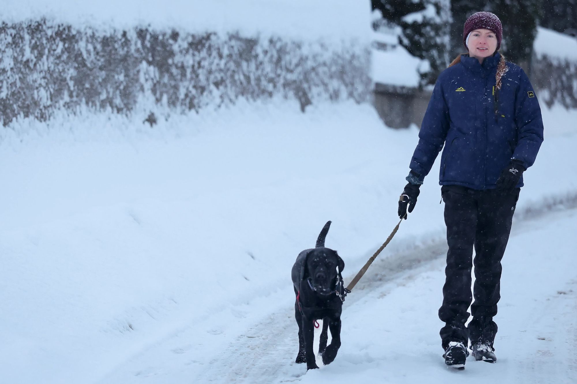 Dog owners urged to walk pets within 4-hour window