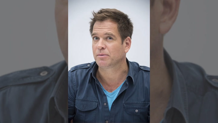 Interesting facts about 'NCIS' star Michael Weatherly you likely didn't ...