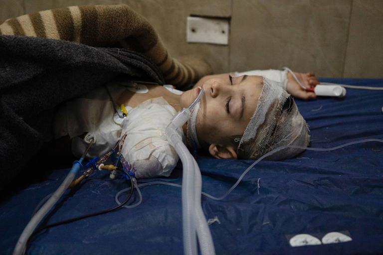 Syrian government declares temporary ceasefire in Aleppo, demanding ...