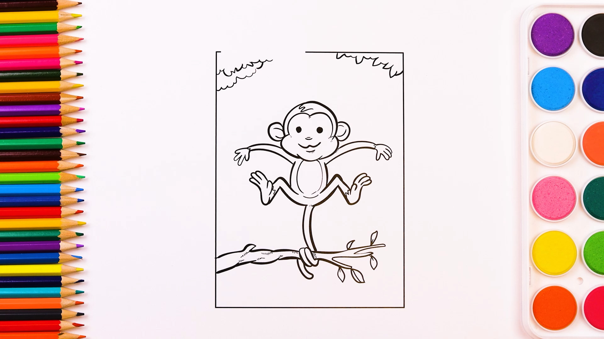 Monkey in a Tree Coloring in