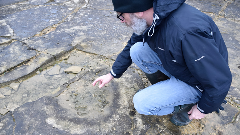 Hiker stumbles upon 280-million-year-old tracks that precede dinosaurs