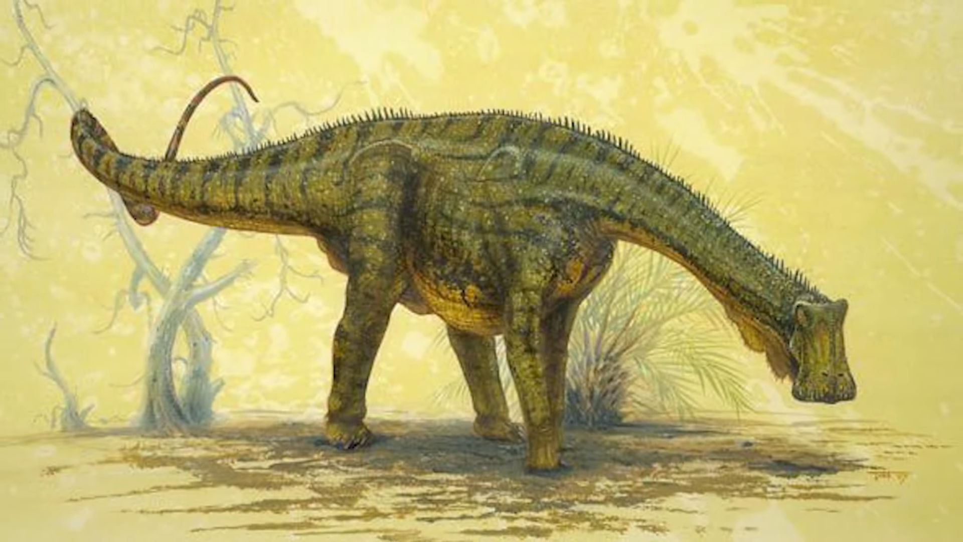 When fossils revealed a feeding machine built for nonstop grazing
