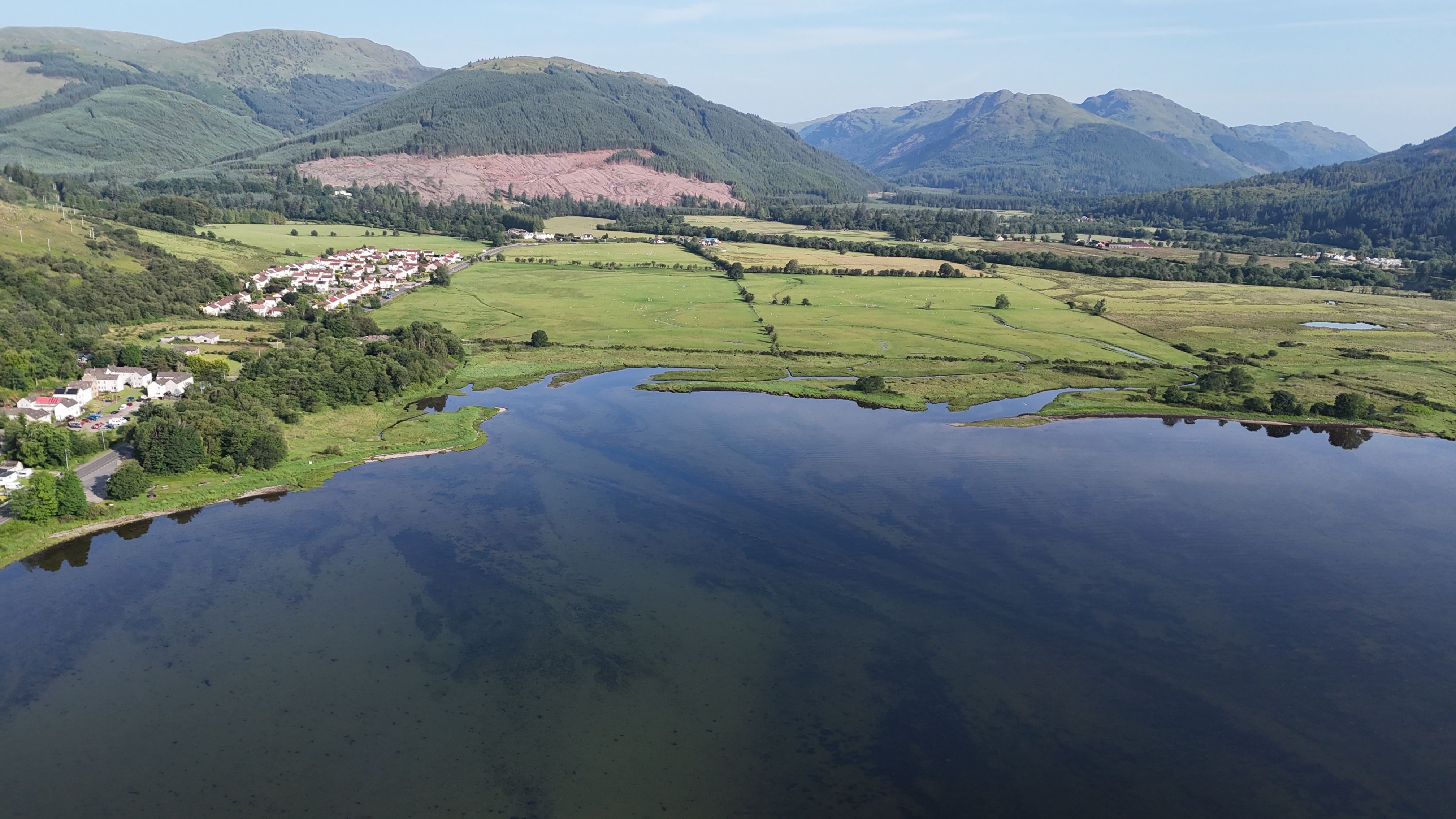 'Lungs of the sea' defies odds by making comeback at former US nuclear ...