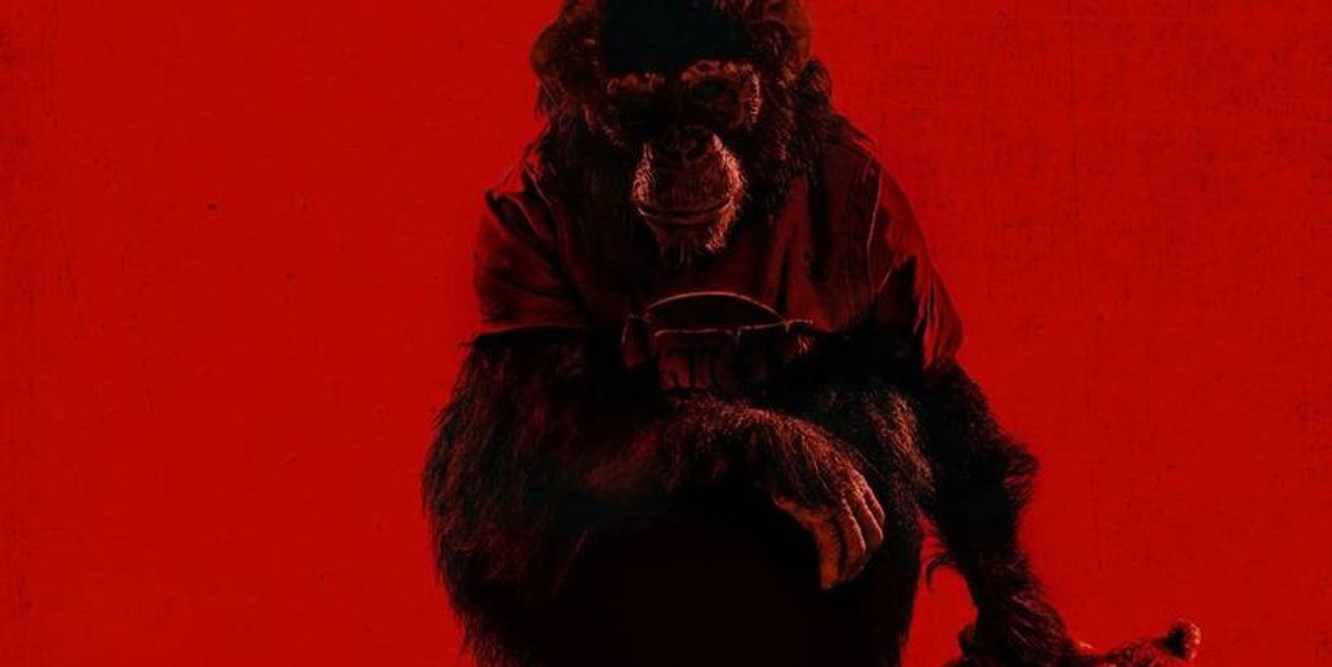 Ben - Rabbia animale, la recensione: la scimmia pensa, la scimmia uccide