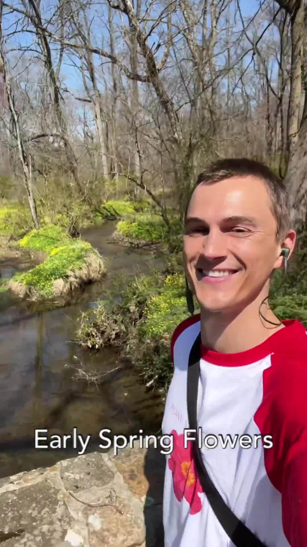 These flowers mean spring has arrived! #spring #flowers #youtubeshorts