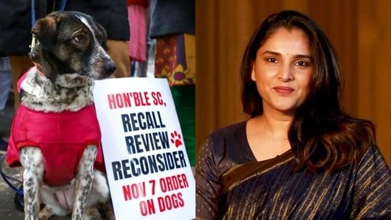 ‘Put all men in jail?’: Actor Ramya's sharp take on Supreme Court's ...