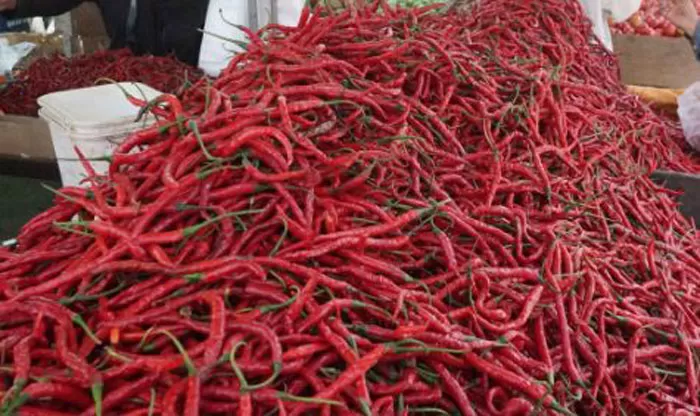 Cabai merah turun tajam, harga sembako Selatpanjang tetap stabil
