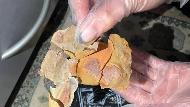 Una mujer encuentra un extraño papel en el bosque y da el aviso de ...