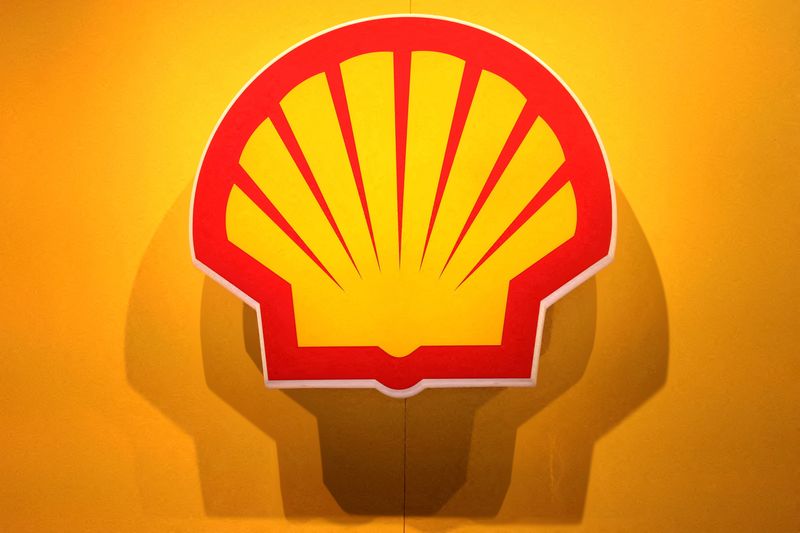 Shell sticks to LNG output outlook, warns of chemicals loss