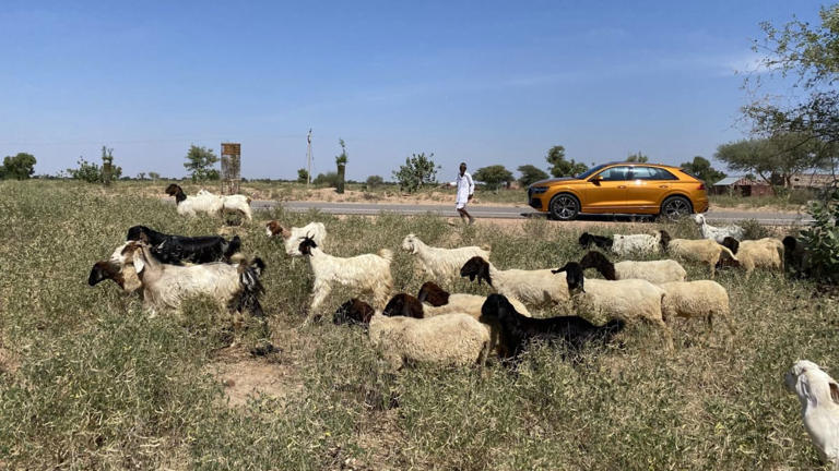 ABP Live budget traveller: How to explore Udaipur in under ₹10,000 ...