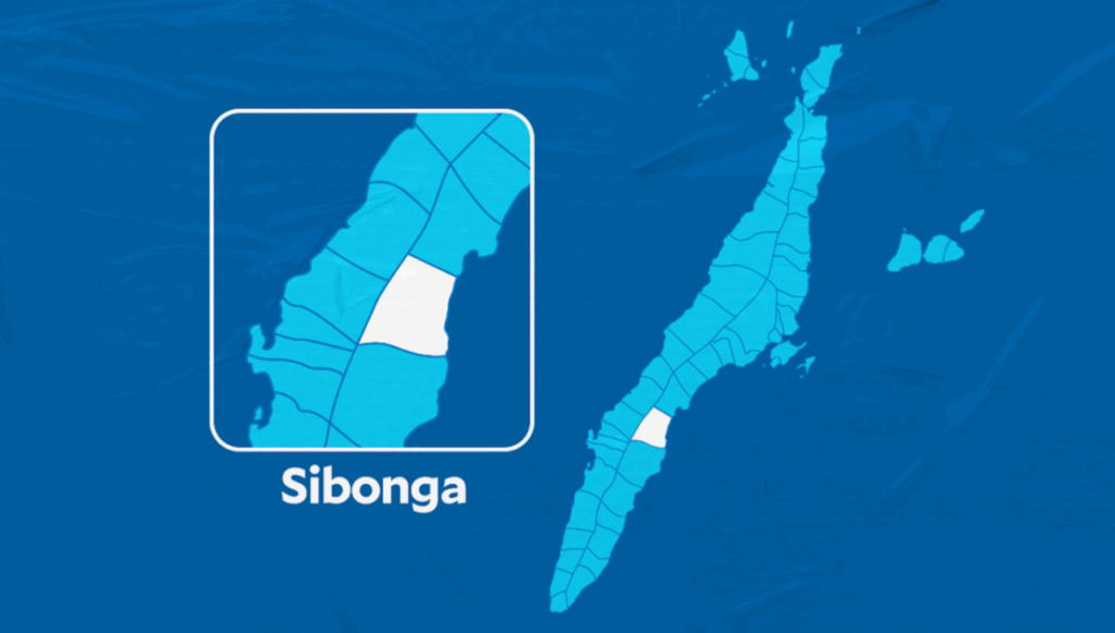 Sibonga man dead after getting stabbed 11 times inside sari-sari store