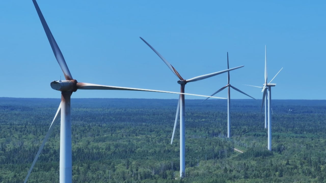 Wind power plan latest uncertain step in 'speculative industry', critic ...