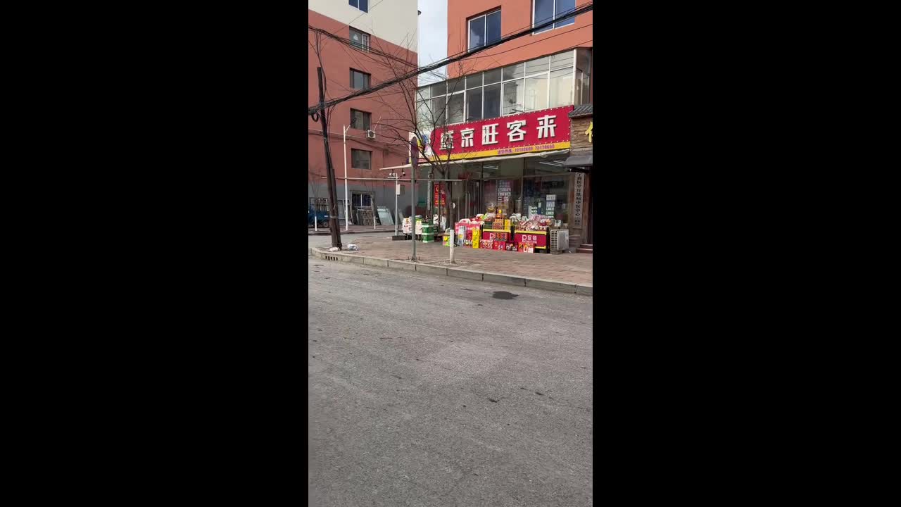 Street cat startled while snacking outside shop in Liaoning, China