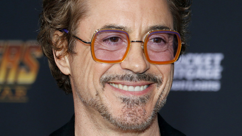 Robert Downey Jr. once dated one of his Marvel co-stars