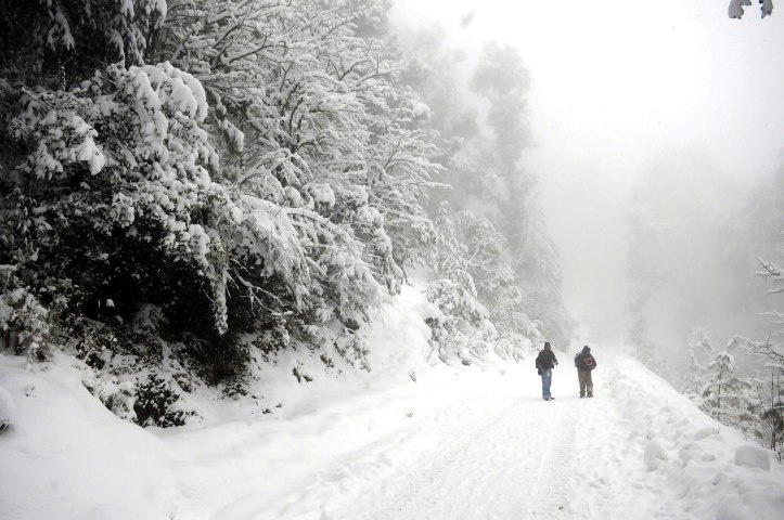 Republic Day long weekend: Why Auli is the only place for snow lovers