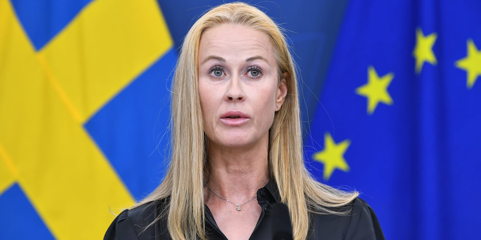 Katja Nyberg (SD) förnekar uppgifter om rattfylla