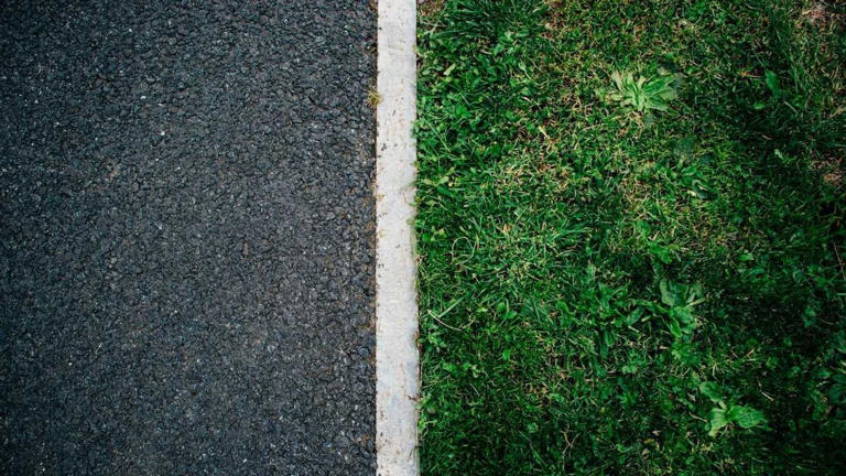 What is character want vs. need in storytelling? Explained with examples