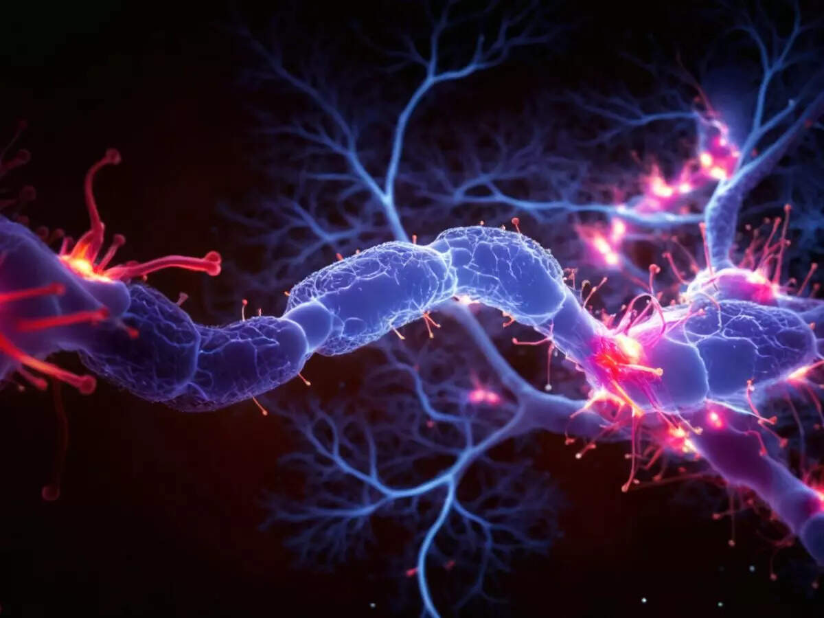 6 everyday foods related to poor circulation efficiency