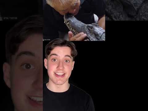 Examples of dangerous animals kept as domestic pets