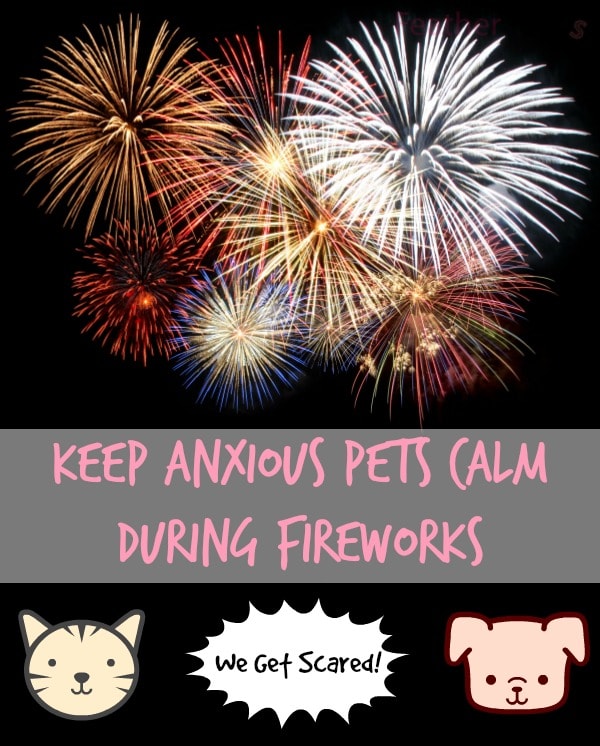 Keep anxious pets calm during fireworks